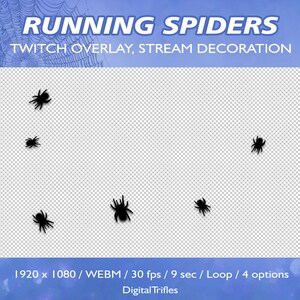 Running Spiders, Animated Twitch Overlays, Halloween Stream Assets ...