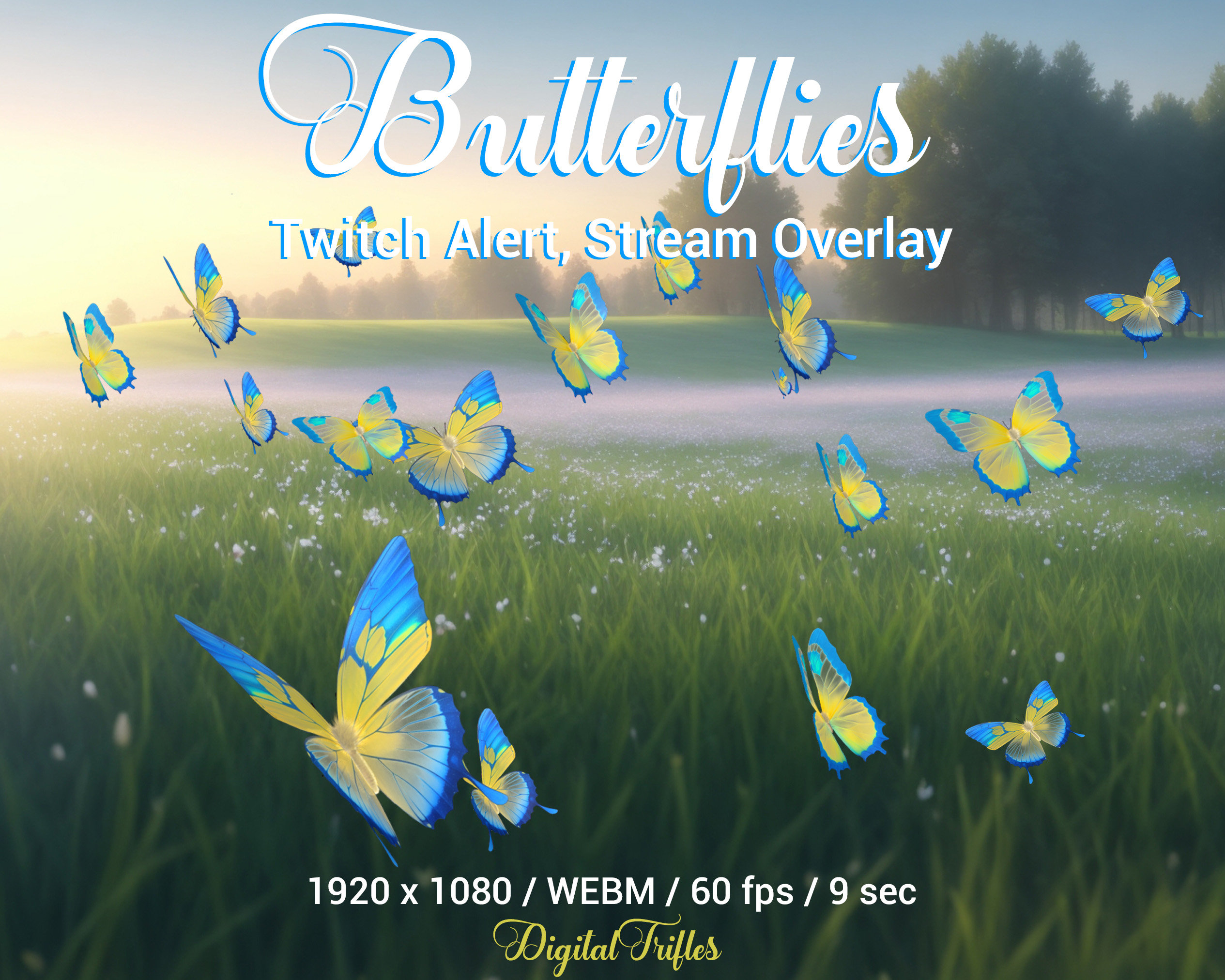 Animated Butterfly Twitch Overlay, Stream Alert and Full-screen Decor ...