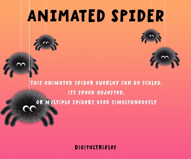 Animated Spider, Creepy and Funny Twitch Overlay, Loop Stream ...