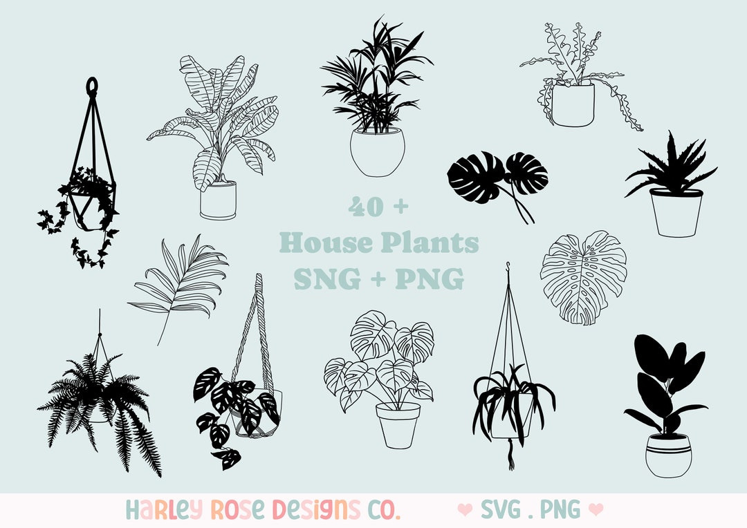 House Plant SVG Bundle, Leaves SVG Cut File, Botanical Svg Files for ...