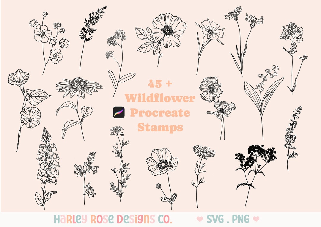 Wildflower Procreate Stamps Bundle, Floral Procreate Stamp, Flower ...