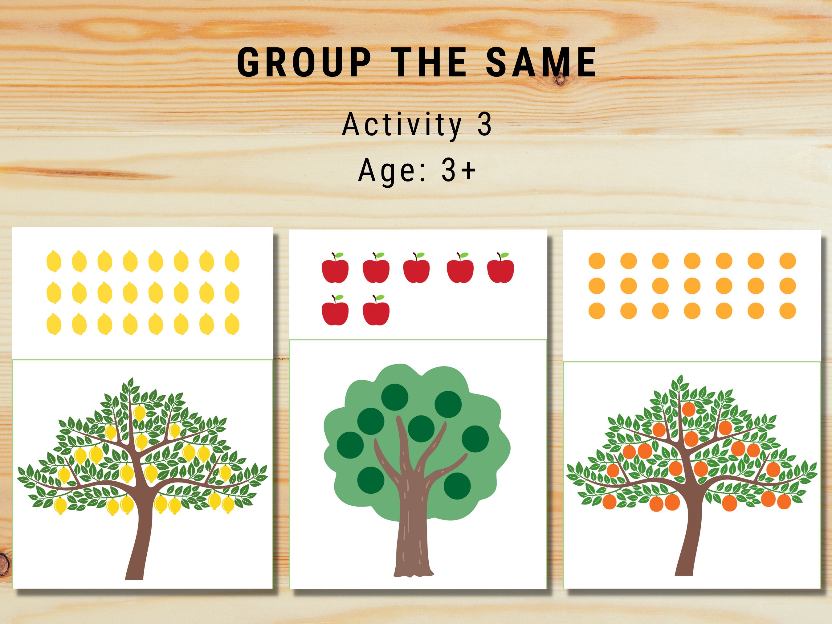 Montessori Fruits Educational Printable Activity Toddler Aged - Etsy