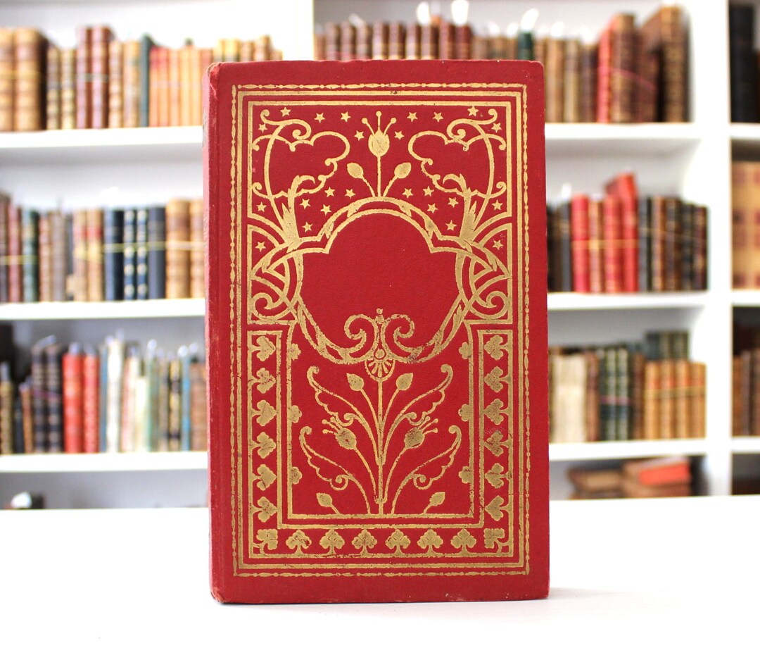 1900 Vintage French Children's Book: Decorated Cartonnage Binding - Etsy