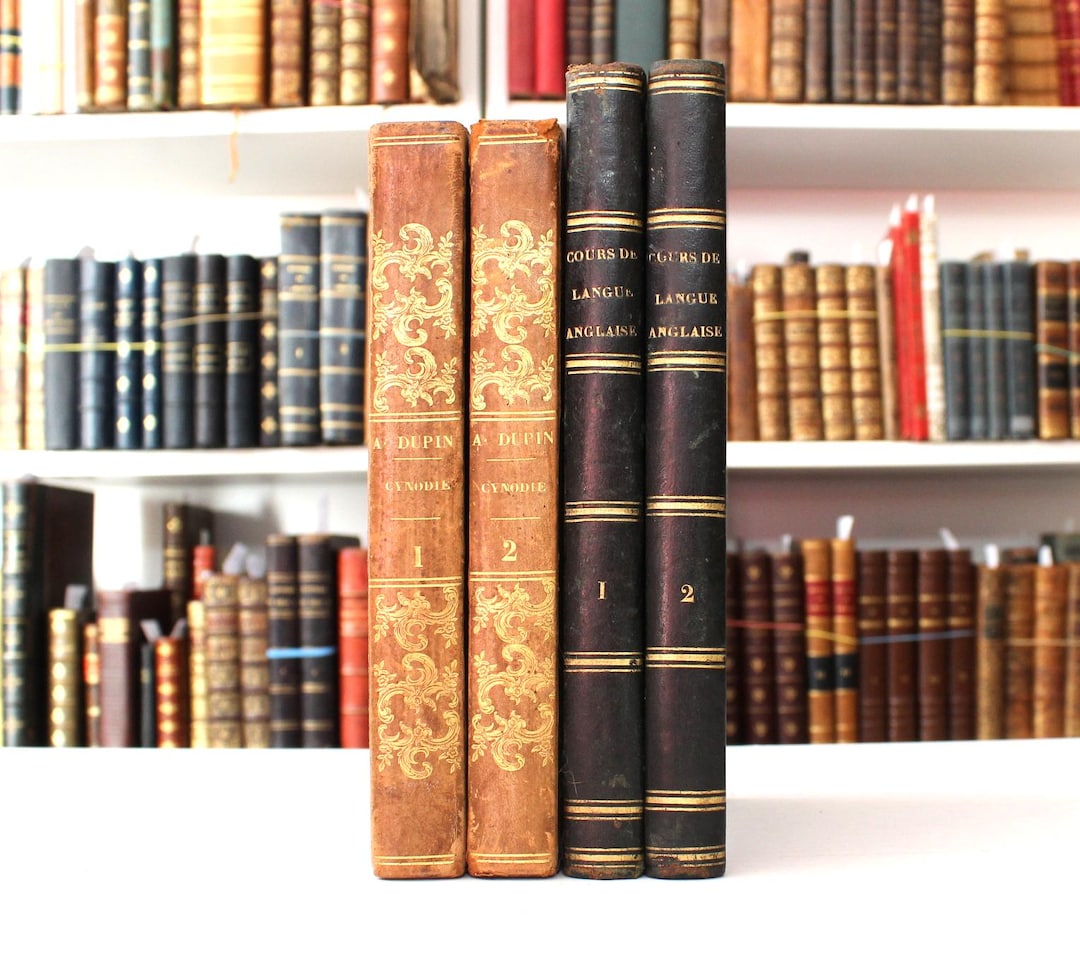 1800s RARE Set of 4 Antique French Books – Cynodie (1833) & French ...