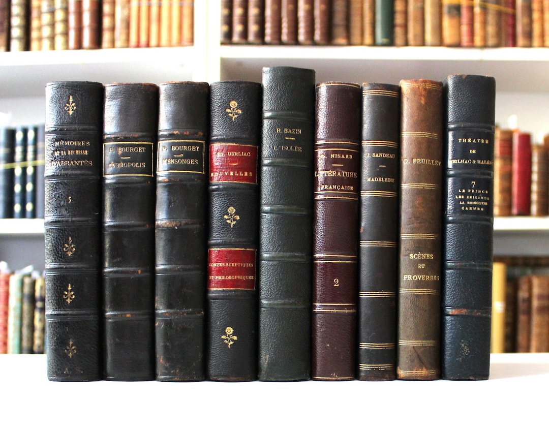 Vintage French Books 1800s & 1900s Decorative Leather Bindings French ...