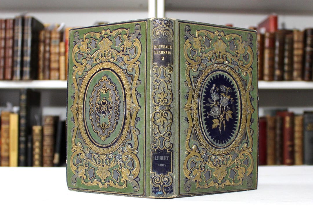 1850 RARE Decorated Cartonnage "les Nouveaux Petits Béarnais" by Mme ...