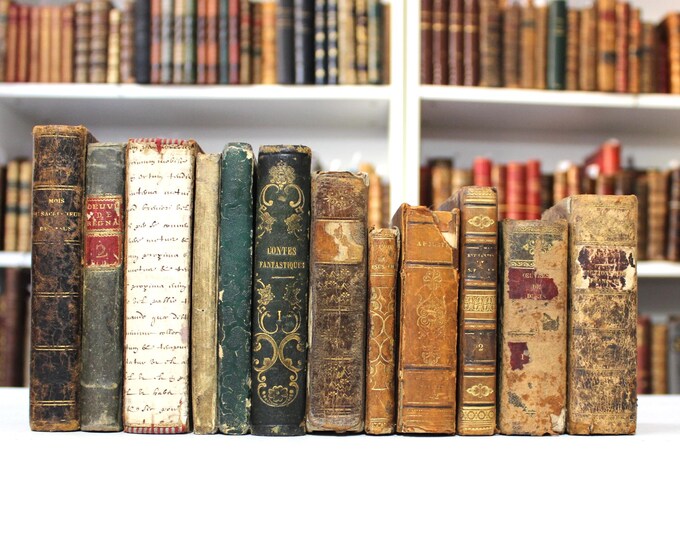 RARE Antique Book Set From the 19th Century – Decorative 12-volume ...