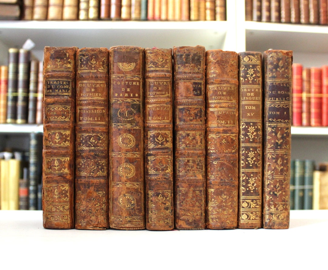 Rare French Antique Law Books From the 1700s – Decorative Full Leather ...