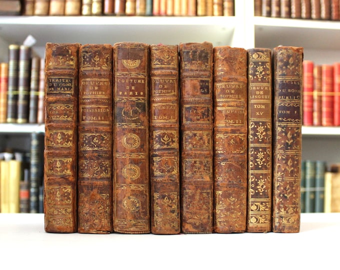 Rare French Antique Law Books From the 1700s – Decorative Full Leather ...