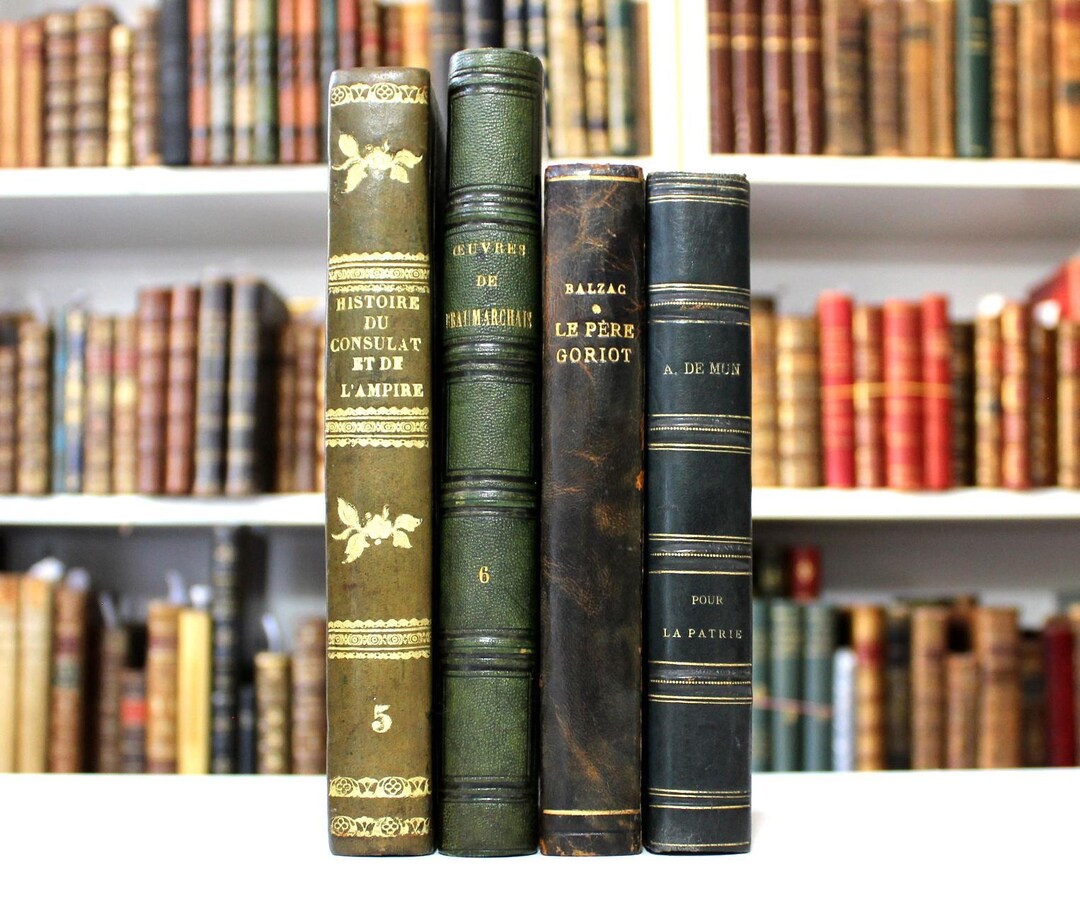 French Antique Book Set (1828-1912) – Decorative 4-volume Bundle – 19th ...