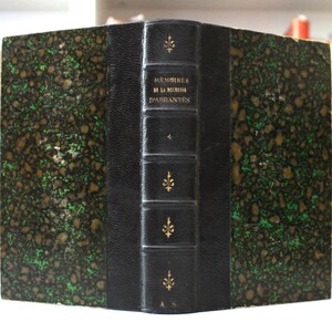 Antique French Leather Book: 1800s Decorative Binding, French ...