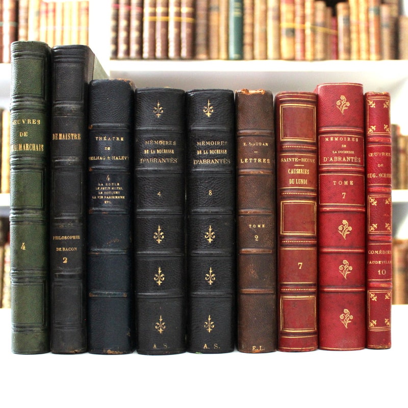 French Fine Binding Books - Etsy