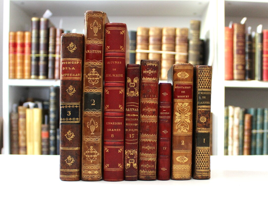 Vintage Set of 8 French Antique Books 1792-1875 18th & 19th Century ...