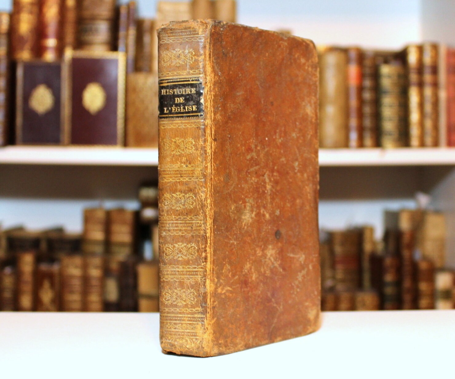 1830 RARE History of the Church Middle Ages Sects Heresies Persecutions ...