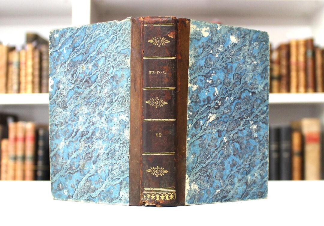 1835 Mineralogy Natural History of Minerals Buffon Geology Rocks Stones ...