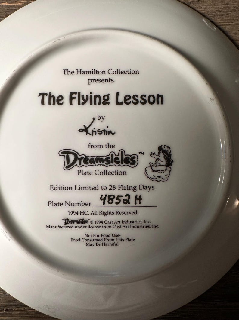 The Flying Lesson by Kristin From the Dreamsicles Plate Collection ...