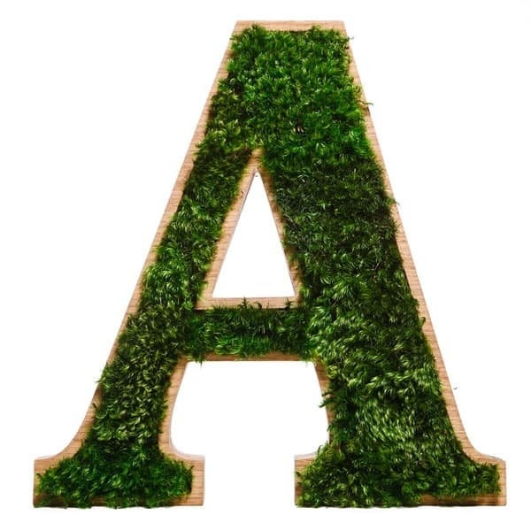 Moss Letters - Etsy