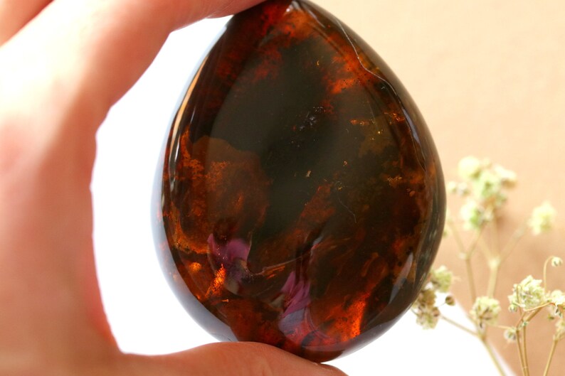 Large Dark Brown Color Baltic Amber Stone, Natural Raw Amber Souvenir ...