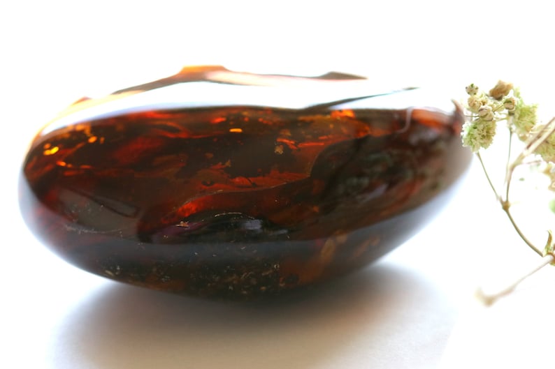 Large Dark Brown Color Baltic Amber Stone, Natural Raw Amber Souvenir ...