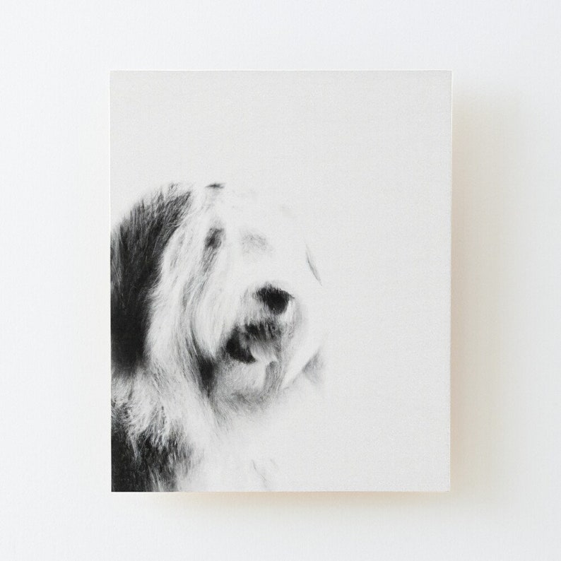 Old English Sheepdog Printable Poster - Etsy