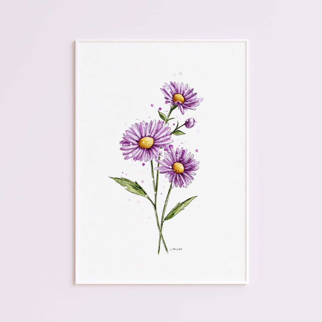 Purple Aster Flower Watercolour Print: Botanical Illustration Wall Art ...