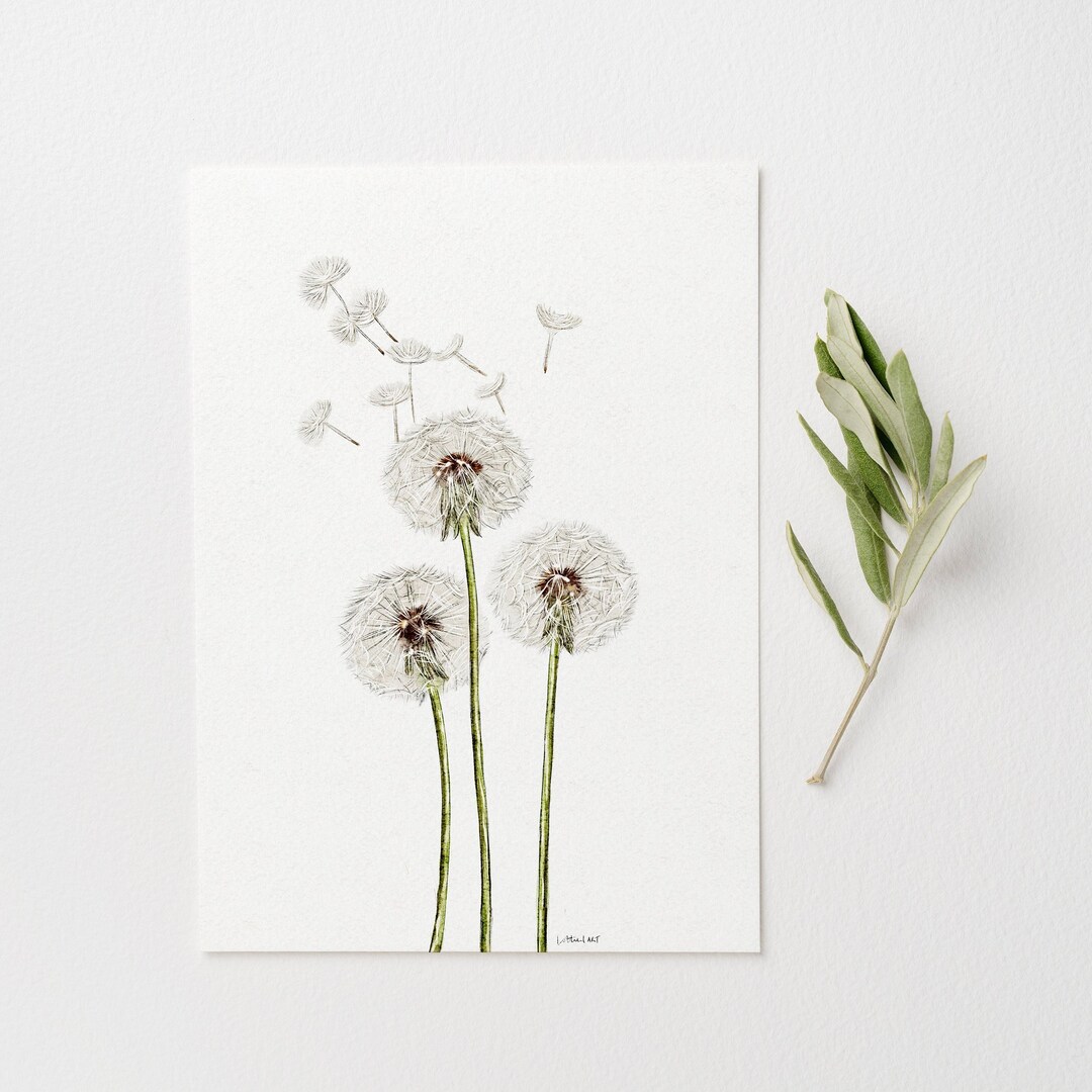 Dandelion Premium Fine Art Print Wildflower Botanical Watercolour ...