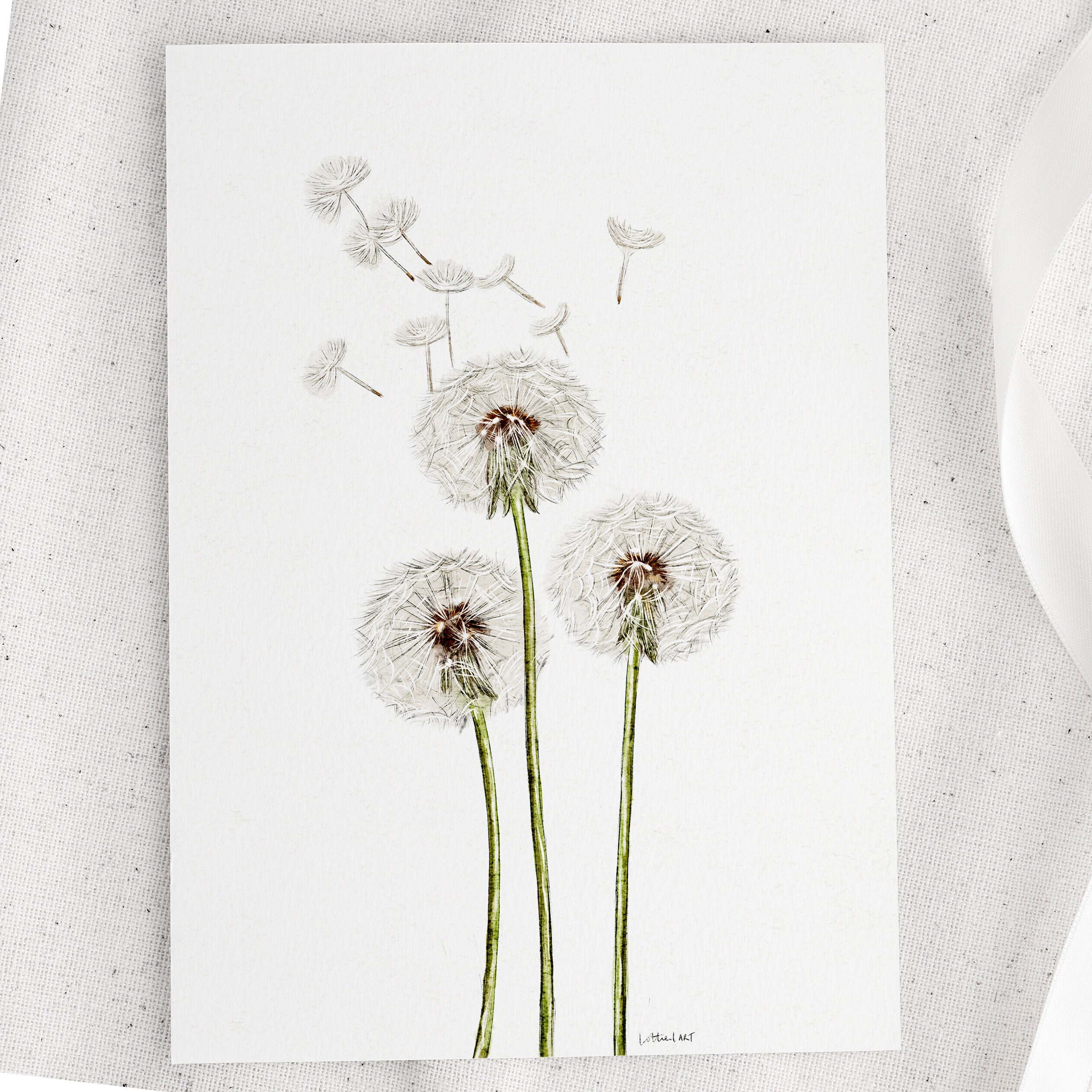 Dandelion Premium Fine Art Print Wildflower Botanical Watercolour ...