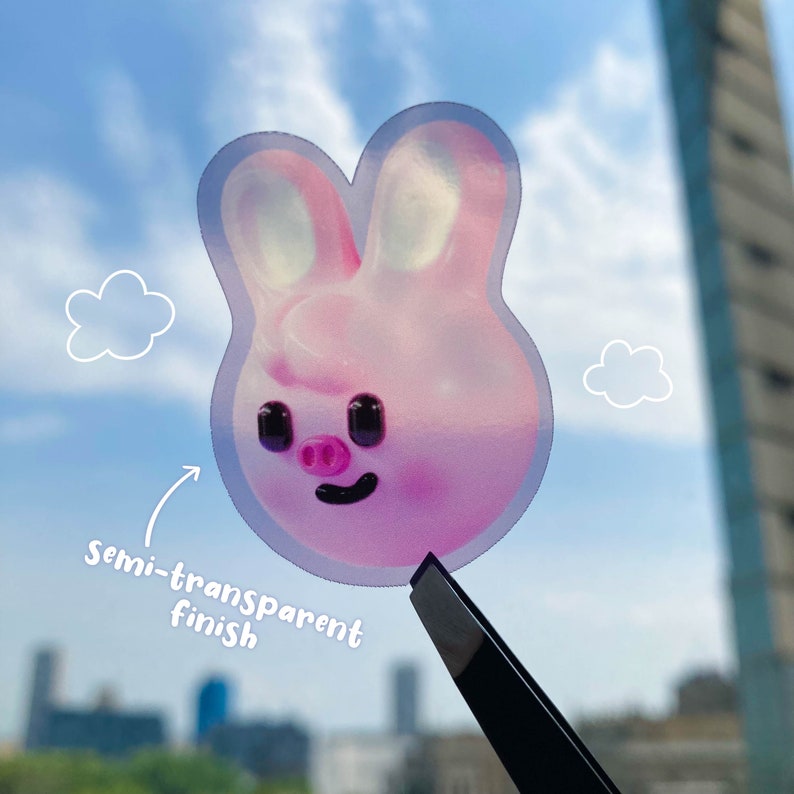 Stray Kids // Jelly SKZOO Semi-transparent Sticker Sheet - Etsy Canada