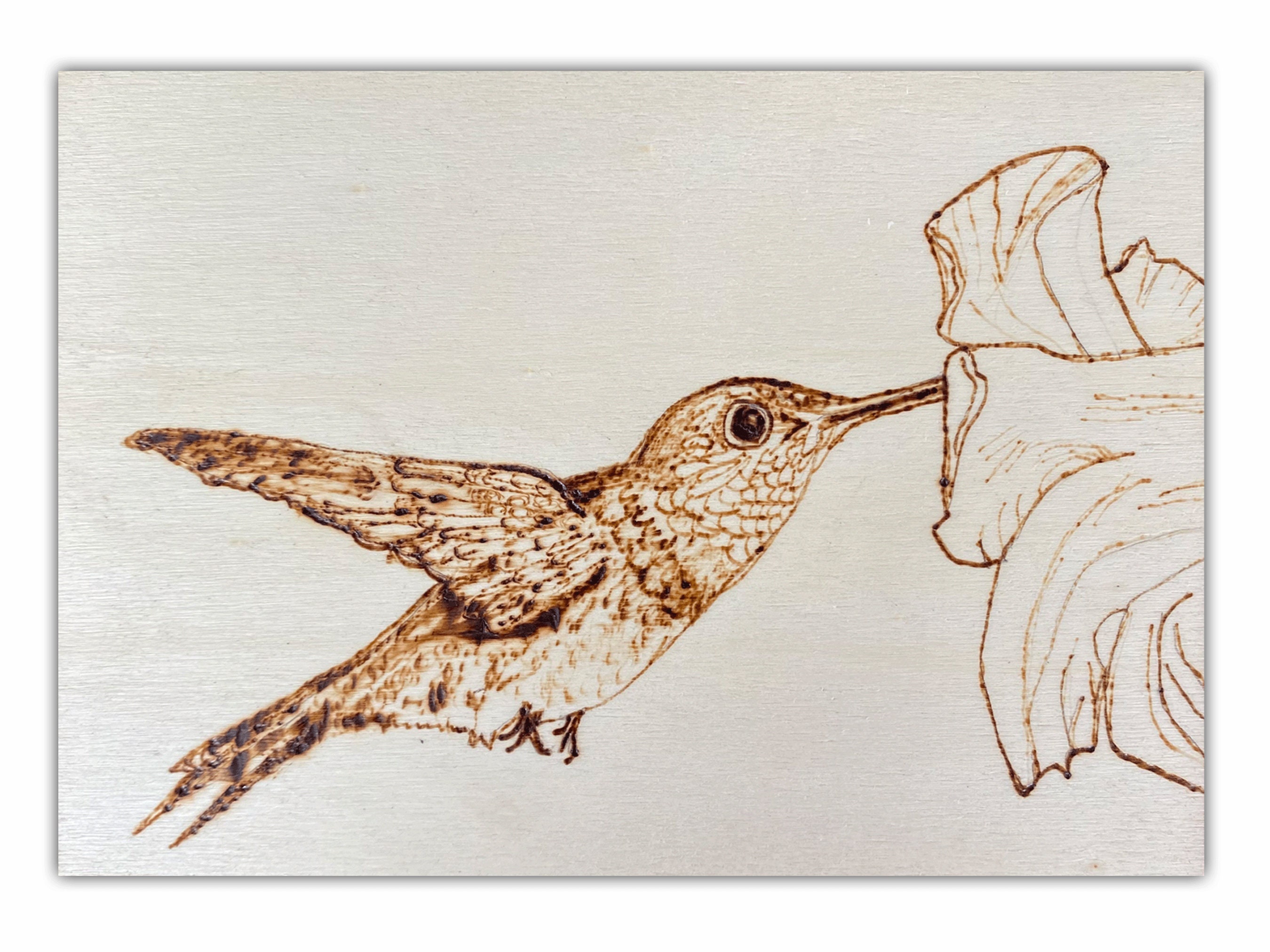 Hummingbird Pyrography Panel - Etsy