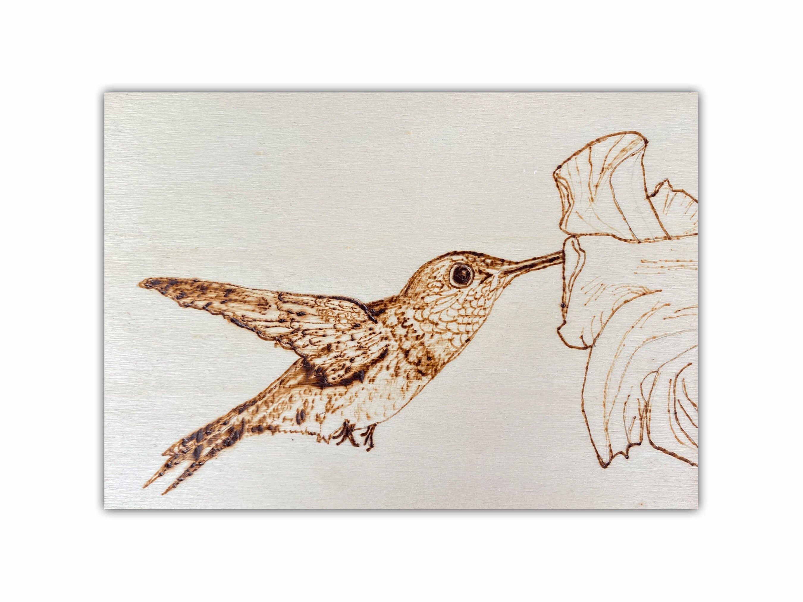 Hummingbird Pyrography Panel - Etsy