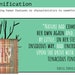 Literary Devices Display Posters; English Secondary Classroom Display ...
