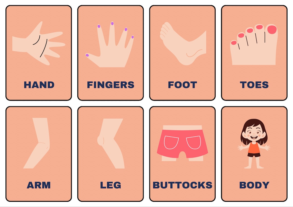 Educational Body Parts Flashcards for Kids Learn Eyes, Ears, Mouth ...