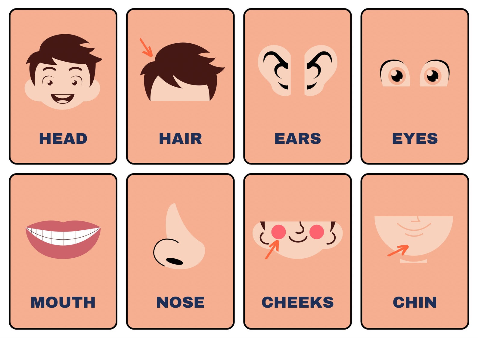 Educational Body Parts Flashcards for Kids Learn Eyes, Ears, Mouth ...