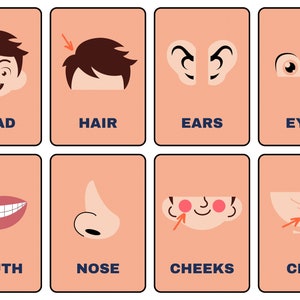 Educational Body Parts Flashcards for Kids Learn Eyes, Ears, Mouth ...