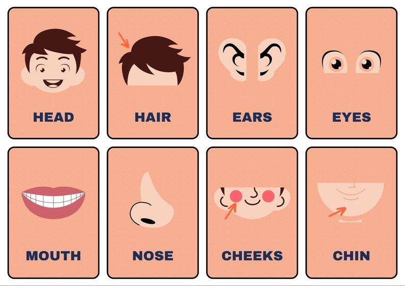 Educational Body Parts Flashcards for Kids Learn Eyes, Ears, Mouth ...