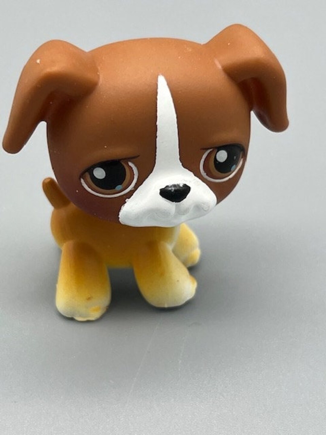 Littlest Pet Shop 25 Boxer Dog Brown & White, Brown Eyes 2004 LPS - Etsy