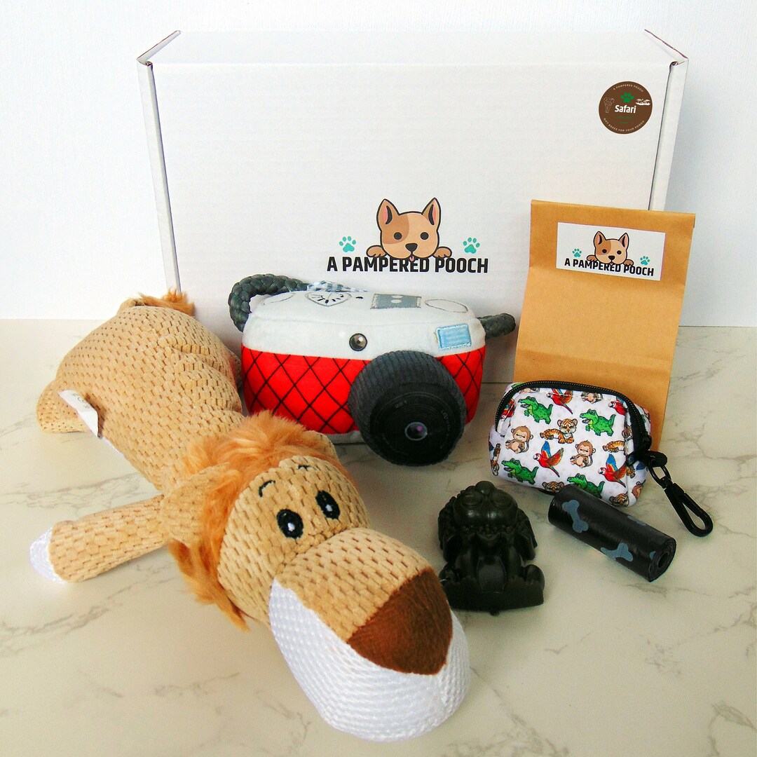 Safari Theme Dog Gift Box Dog Safari Adventure Box - Etsy