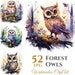 52 Watercolor Forest Owls Clipart Bundle, Digital Graphics, Instant ...