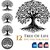 12 Tree of Life Svg Vector Clipart Bundle, Transparent Background ...