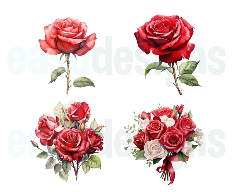 16 Watercolor Red Roses Floral Clipart Bundle Digital - Etsy