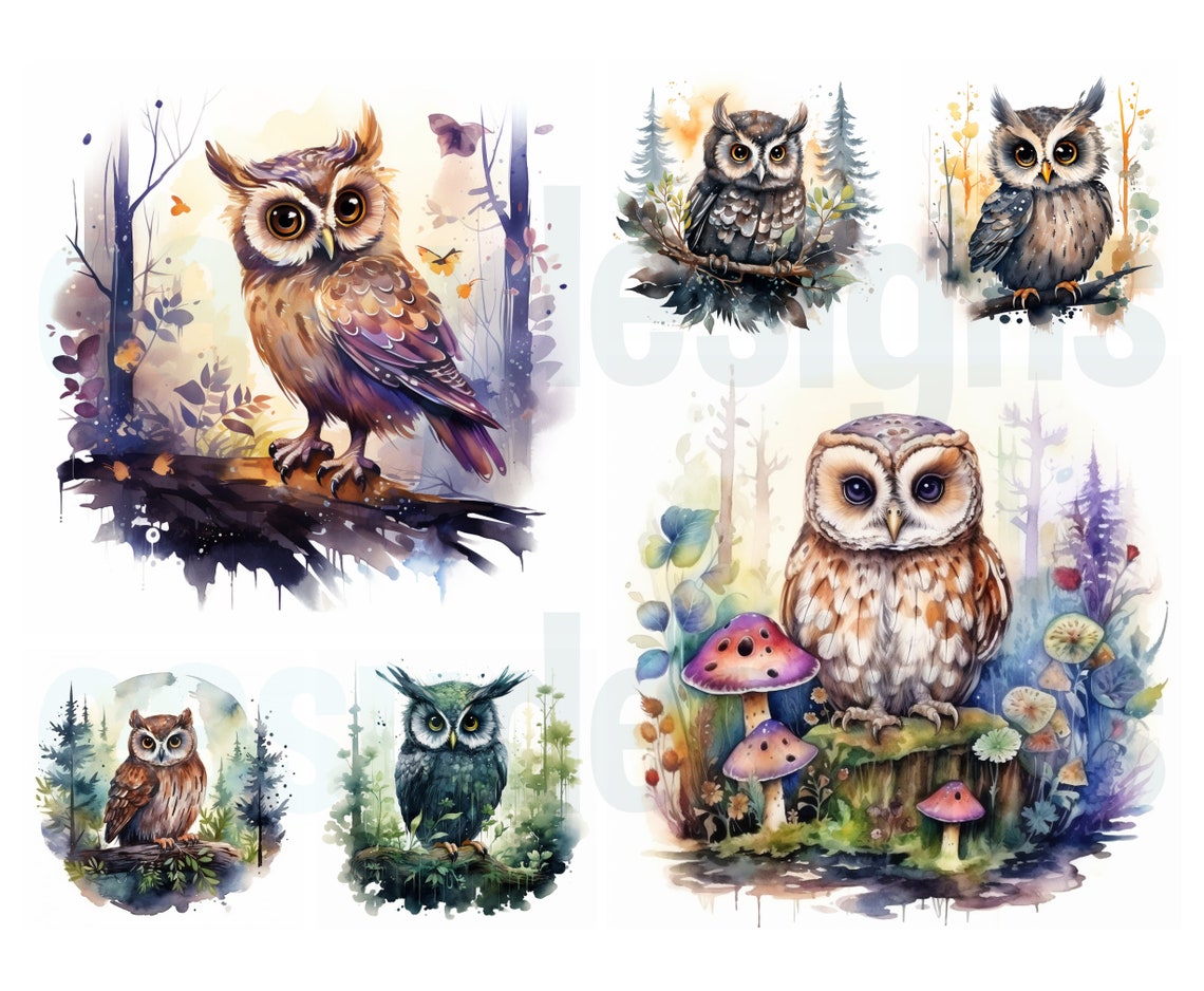 52 Watercolor Forest Owls Clipart Bundle, Digital Graphics, Instant ...