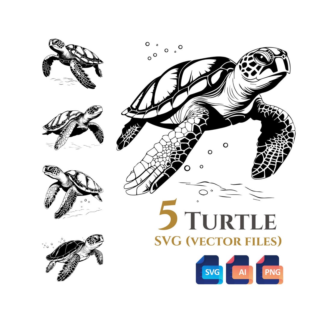 5 Turtle Svg Vector Clipart Bundle, Transparent Background, Instant ...