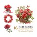 16 Watercolor Red Roses Floral Clipart Bundle, Digital Download PNG ...