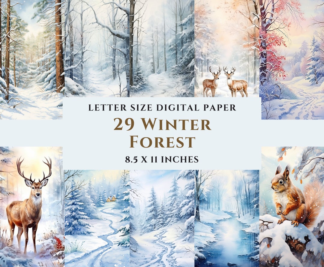 29 Winter Forest Printable Digital Paper Bundle, Watercolor, Instant ...