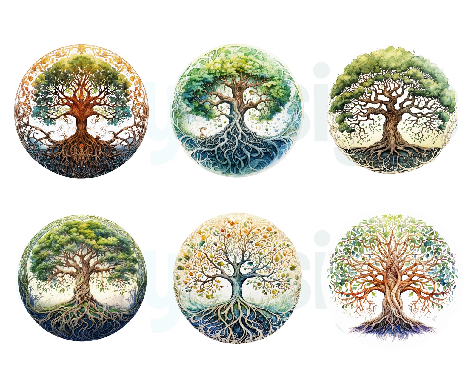 22 Tree of Life Clipart Bundle, Transparent Background, Digital ...