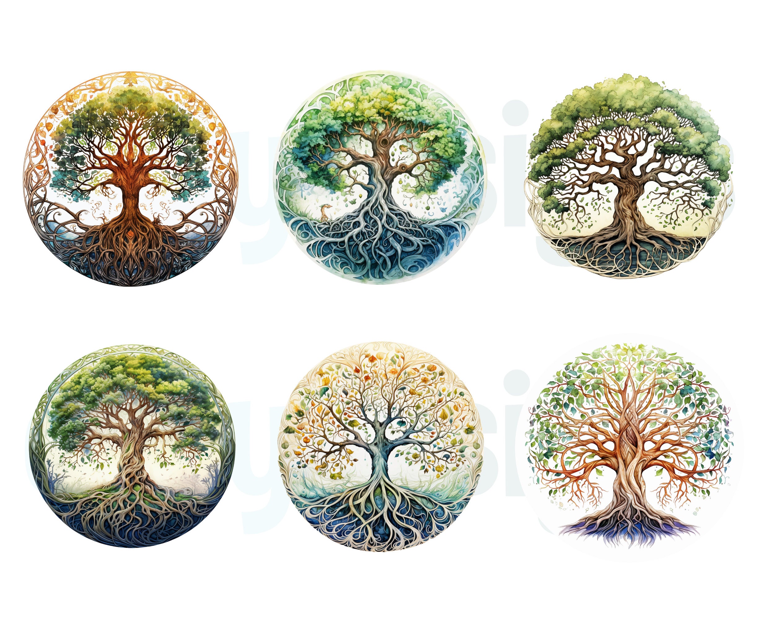 22 Tree of Life Clipart Bundle, Transparent Background, Digital ...