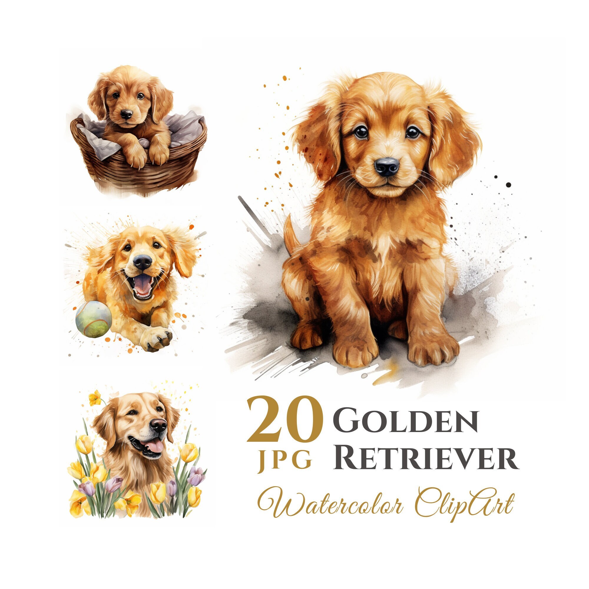 20 Golden Retriever Watercolor Clipart Bundle, Digital Graphics ...
