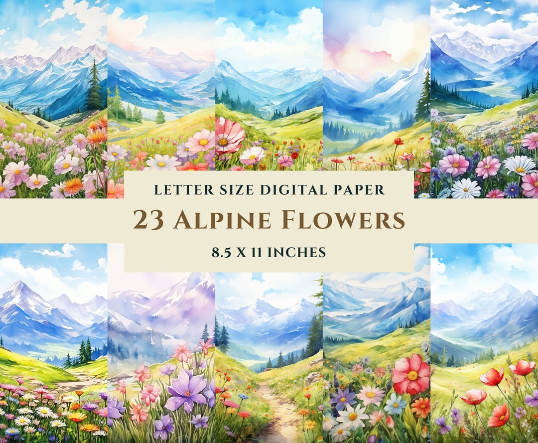23 Alpine Flowers Printable Digital Paper Bundle, Watercolor, Letter ...