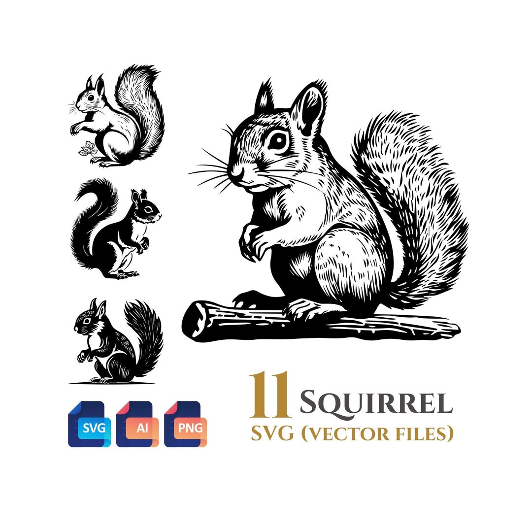 11 Squirrel Svg Vector Clipart Bundle, Transparent Background, Instant ...