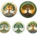 14 Tree of Life Clipart Bundle, Transparent Background, Digital ...